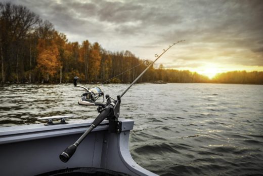 TN hunting, fishing and boating license fees to increase in 2025 ...