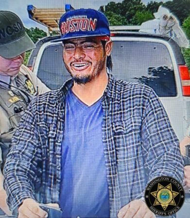 Sheriff: Driver of stolen van escapes after scuffle with officers ...